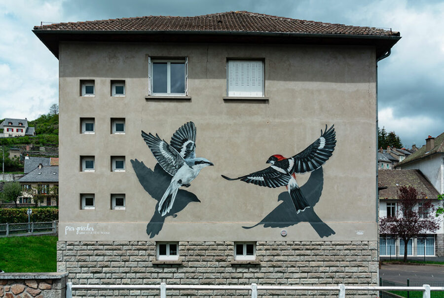 Fresque murale : Conception et Réalisation / Mural Studio